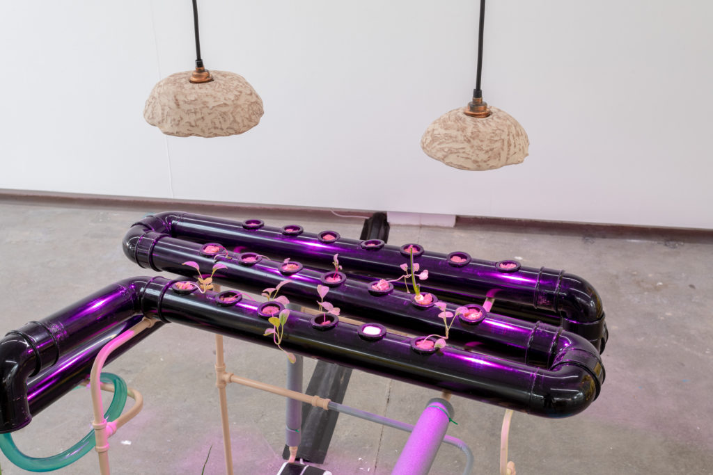 Frances Disley: The Cucumber Fell in the Sand — Corridor8