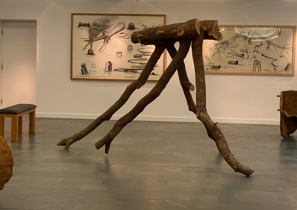 David Nash: Return to the Forest — Corridor8