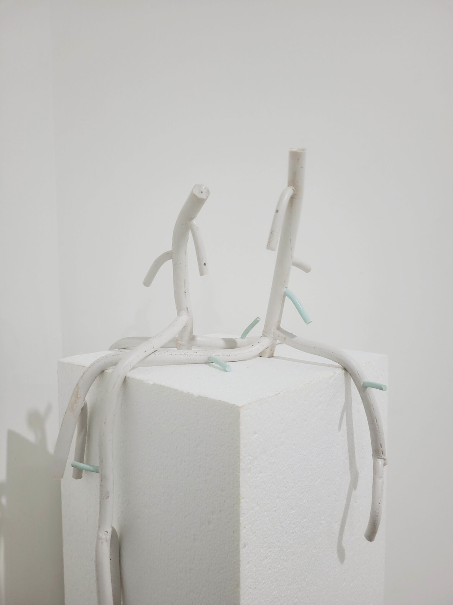 Dean Kenning: Evolutionary Love — Corridor8