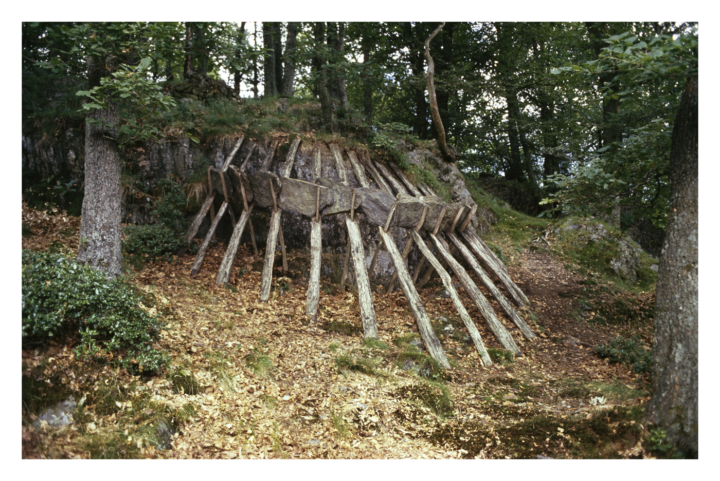Richard Harris: Being Here — Corridor8