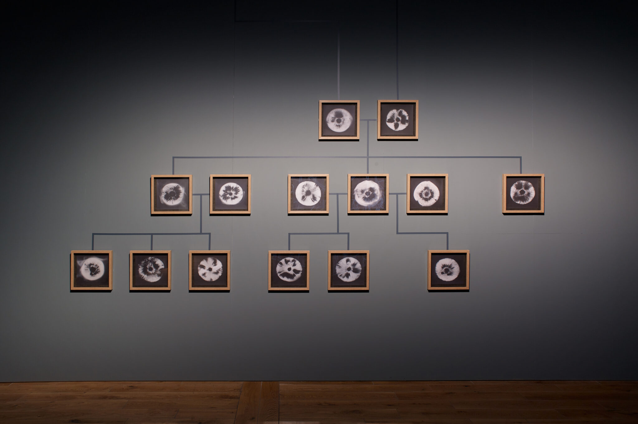 Nick Jordan: Natural Interaction — Corridor8