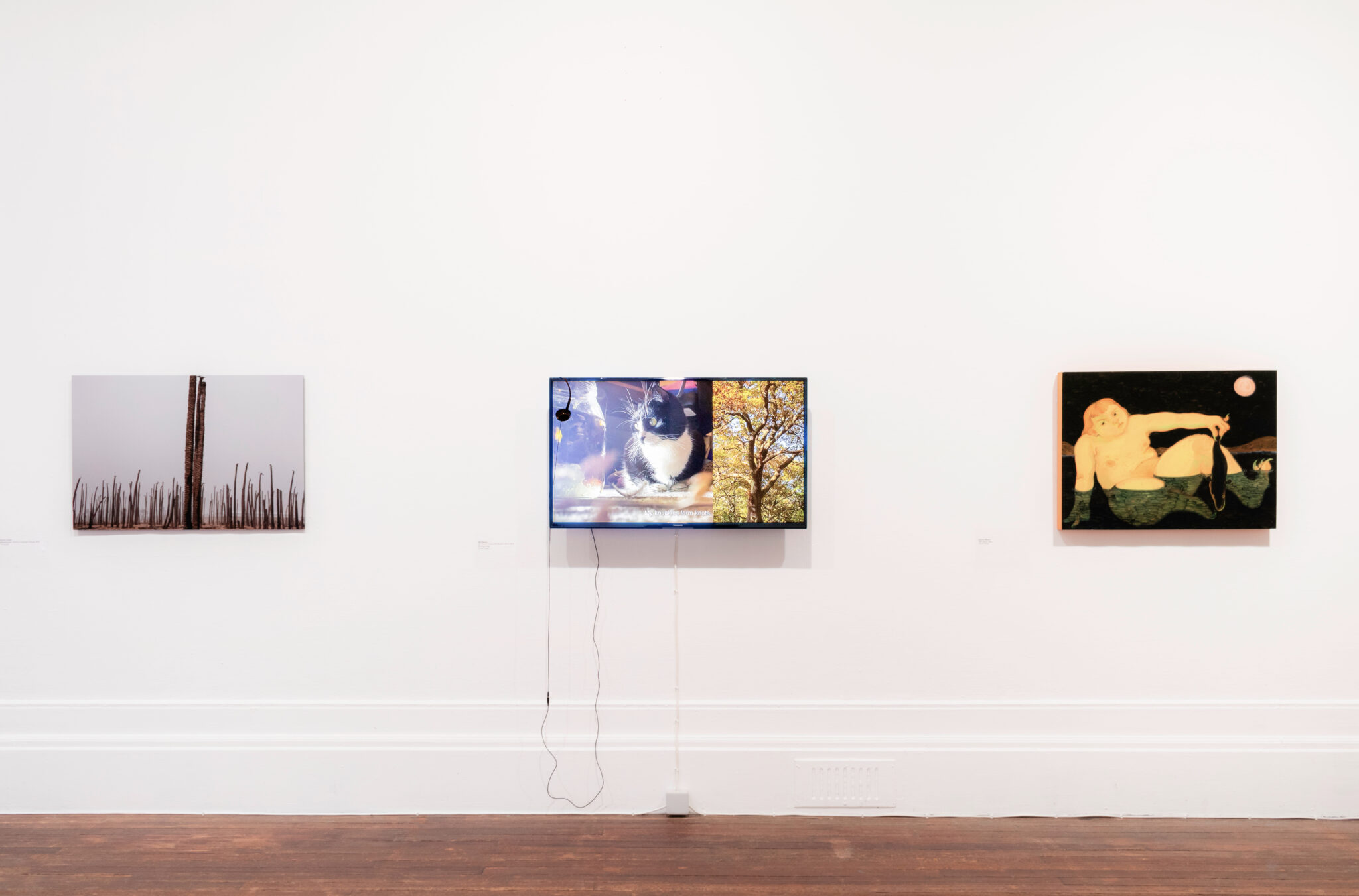 New Contemporaries 2023 — Corridor8