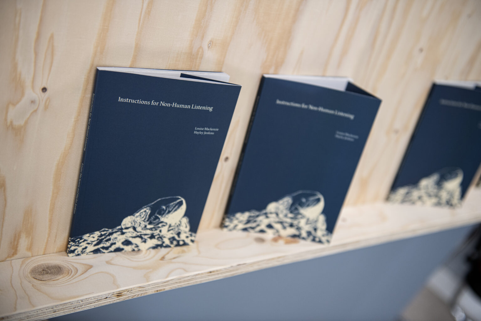 Blue Futures: In conversation with Suzy O'Hara — Corridor8