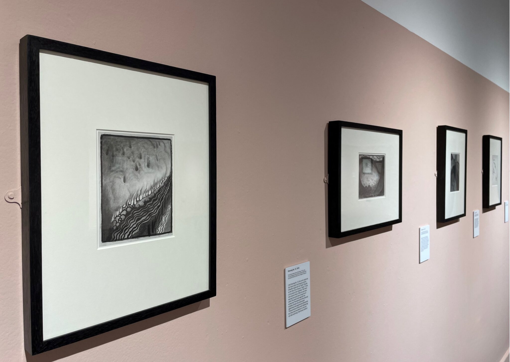 Georgia O’Keeffe: Memories of Drawings / Ailish Treanor: Ulterior ...